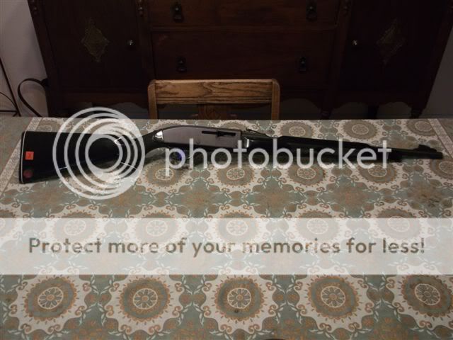 Nylon 66 Receiver finish | Rimfire Central Firearm Forum